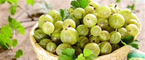 Ezért Fogyassz Egrest Jó Hatással Van Az Emésztésre és A Szívet Is Védi Gasztro Sóbors