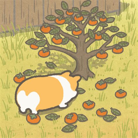 柯基 堆糖，美图壁纸兴趣社区