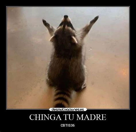 Frases De Chinga Tu Madre