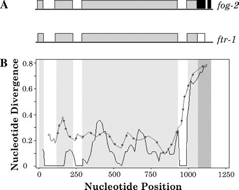 Gene Conversion And Dna Sequence Polymorphism In The Sex Determination