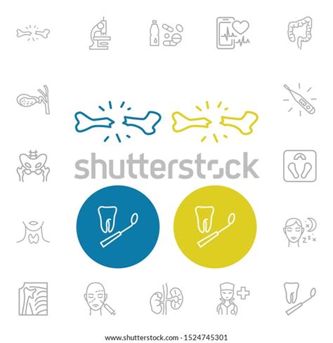 Anatomy Icons Set Gallbladder Microscope Water Stock Vector Royalty