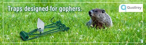 Qualirey 8 Pcs Outdoor Gopher Trap Easy Set Mole Trap