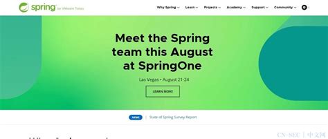 Spring Security路径匹配绕过和认证规则配置错误漏洞 Cn Sec 中文网
