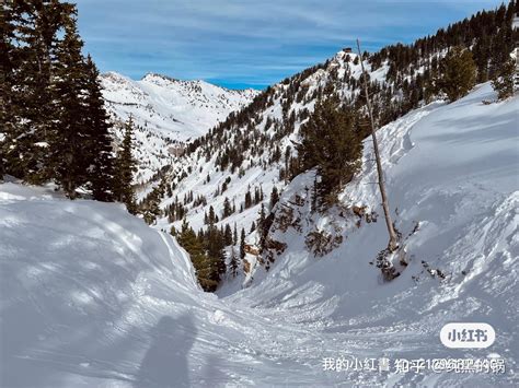 浅谈美国盐湖城 Snowbird 雪鸟滑雪场地形 知乎