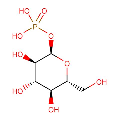 59 56 3 葡萄糖 1 磷酸 Cas号59 56 3分子式、结构式、msds、熔点、沸点