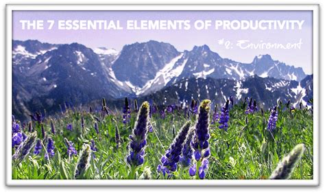 The 7 Essential Elements Of Productivity Element 2 Environment