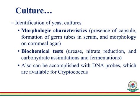 12 Fungal Identification Methods New Ppt