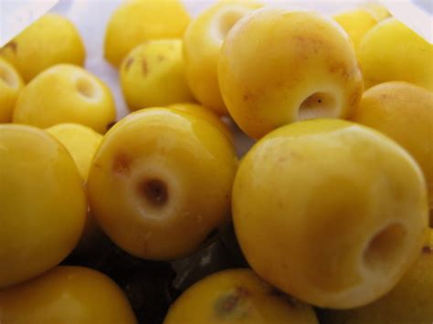 Dulce De Nance Las Recetas De Luisa