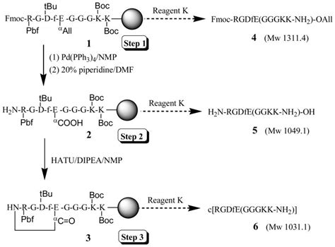 Solid Phase Synthesis Of Tailed Cyclic Rgd Peptides Using Glutamic Acid