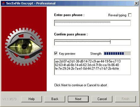 Secure File Encryption For Windows Step 3 Define Pass Phrase