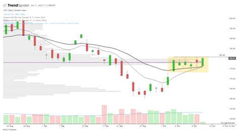 Catdaily Candlestick Chart Published By Javier On Trendspider