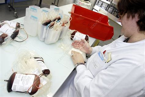 Donor Blood Processing Stock Image C0013428 Science Photo Library