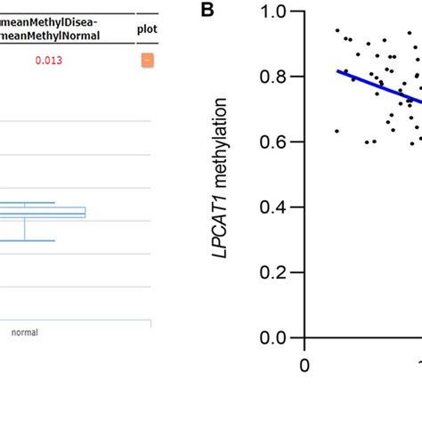 The Expression Of Lpcat1 In Bone Marrow In Aml Vs Normal From