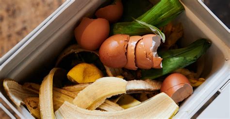 Home Composting Essential Tips To Get Started