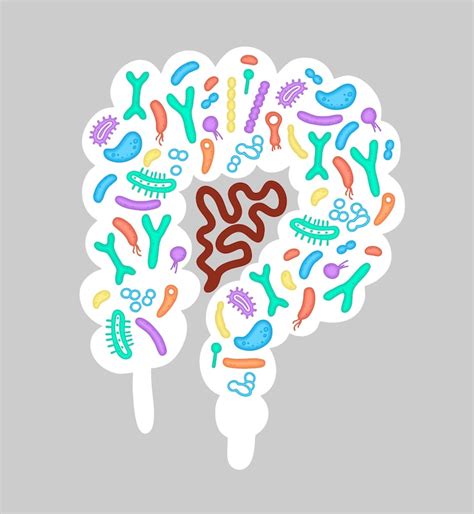 Premium Vector Human Microbiome Illustration With Intestines And