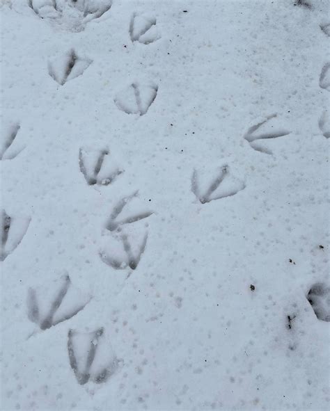 Malvina Hoffman Malvina Hoffman Added A New Photo