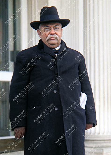 Robert Ewing Woodrow Wilson The Light Withdrawn