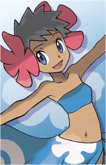 Pokemon Fuyou