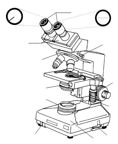 Binocular Microscope Drawing At Getdrawings Free Download