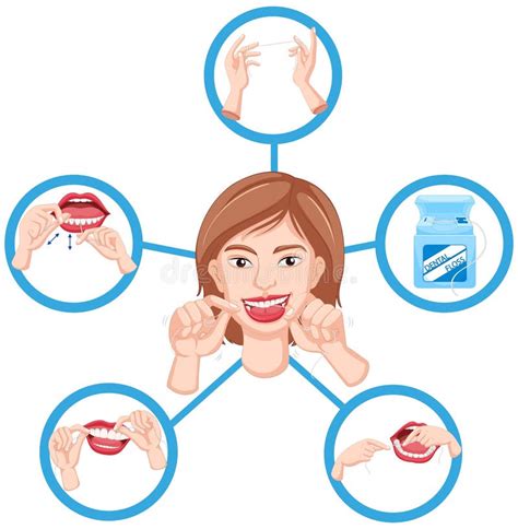 Flossing Teeth Process Stock Illustrations 41 Flossing Teeth Process