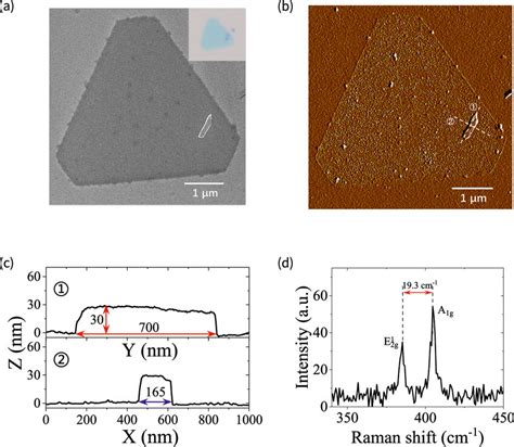 Characterization Of Mos2 Layer With The Ti Nanoparticle A Sem Top Download Scientific