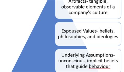 Unveiling Organisational Dynamics A Deep Dive Into Scheins