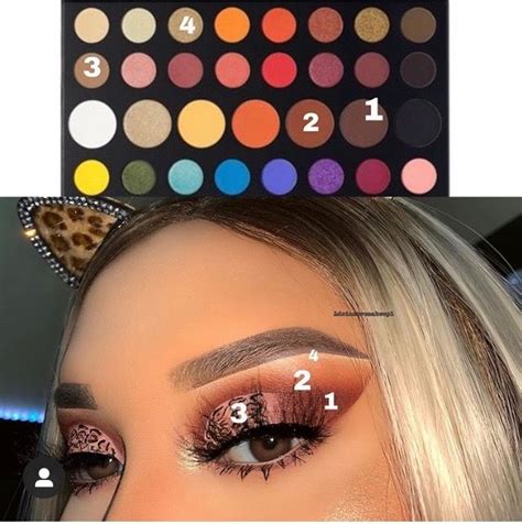 Pin By Sienna Jackson On Makeup Morphe Shimmer Eye Makeup Creative