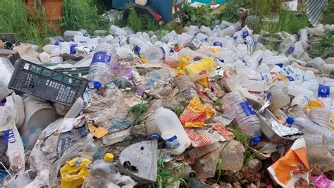 Ispca Rescue Over 120 Birds From Hoarding Situation Ispca