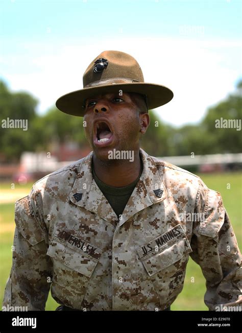 Army Drill Sergeant Hat Clipart