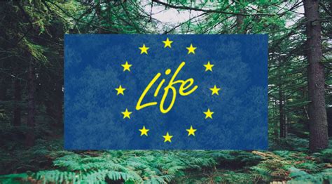 Україна приєднається до європейської програми Life Ставчук розповіла