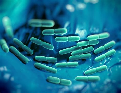 Macarthys Laboratories Limited Contact Us