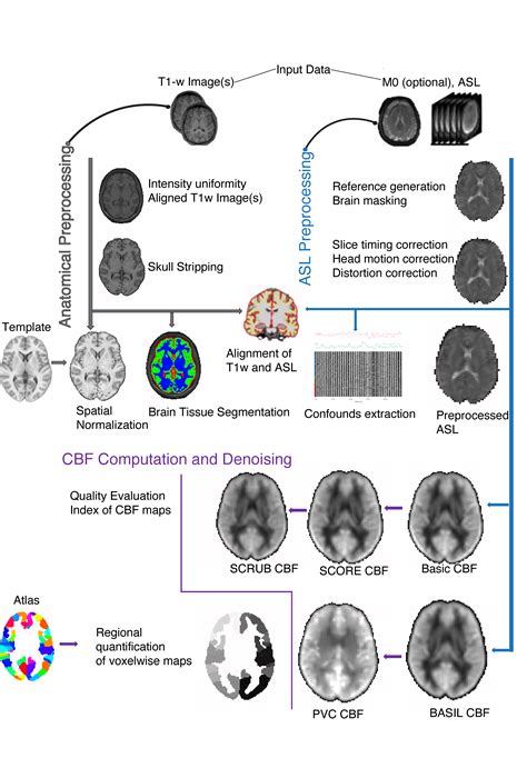 Aslprep A Robust Preprocessing Pipeline For Asl Data — Aslprep Version Documentation