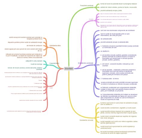 Encefalul Coggle Diagram