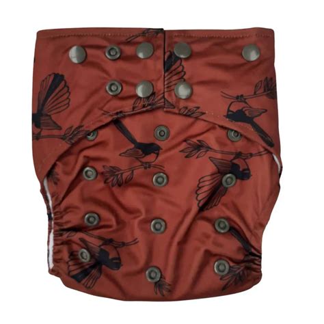 Sassy Pants Snap Nappy With 2 Inserts The Cloth Nappy Company