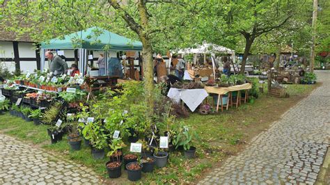Bauernmarkt Mit Pflanzenmarkt Und Backtag Kreismuseum Syke