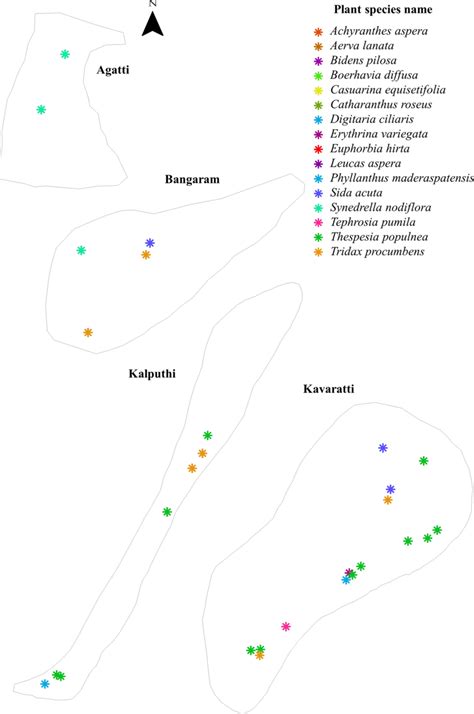 Spatial Distribution And Dispersal Modes Of Few Dominant Species Download Scientific Diagram