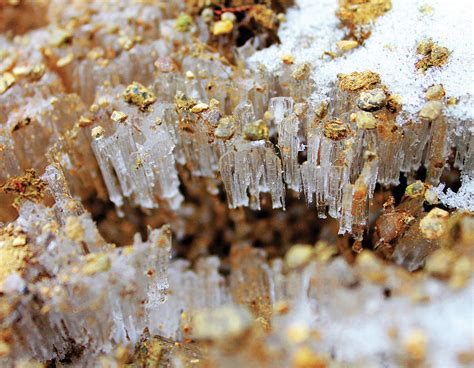 Tiny Bridge Photograph By Matthew Williams Pixels
