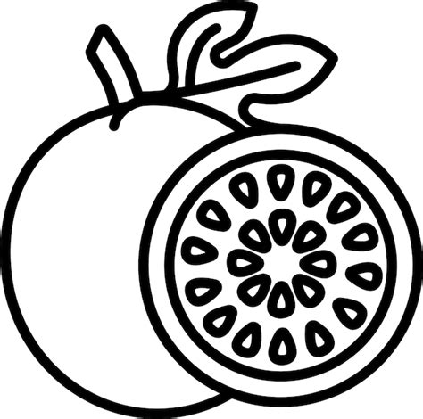 Premium Vector Passion Fruit Outline Vector Illustration