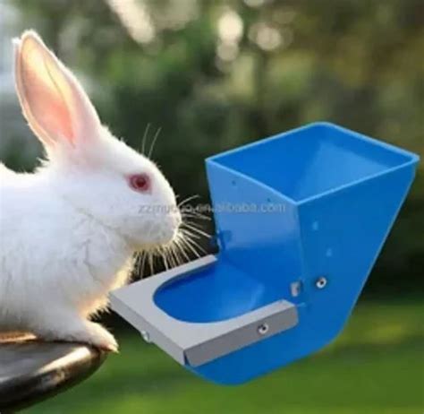 Rabbit Feed Box At Rs 65piece Animal Feeder In Pune Id 24590591812