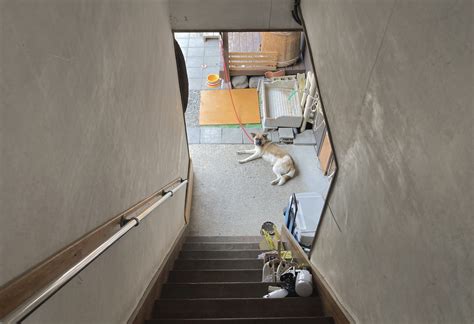 Tiny Stories In The World