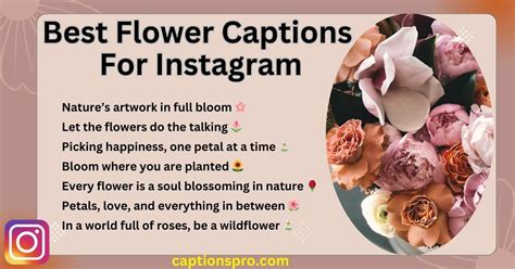 400 Best Come Back Captions For Instagram 2025 Captions Pro