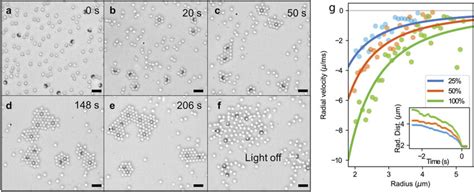 Ae Light Induced Assembly Of Passive Colloids Around Active