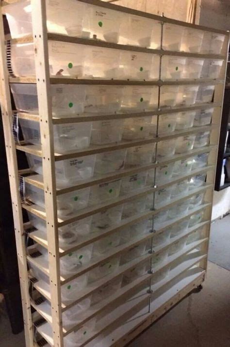 9 Best Reptile Rack System Images Reptile Rack Diy Reptile Racking