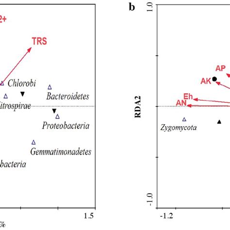Redundancy Analysis Rda Illustrating The Relationship Between
