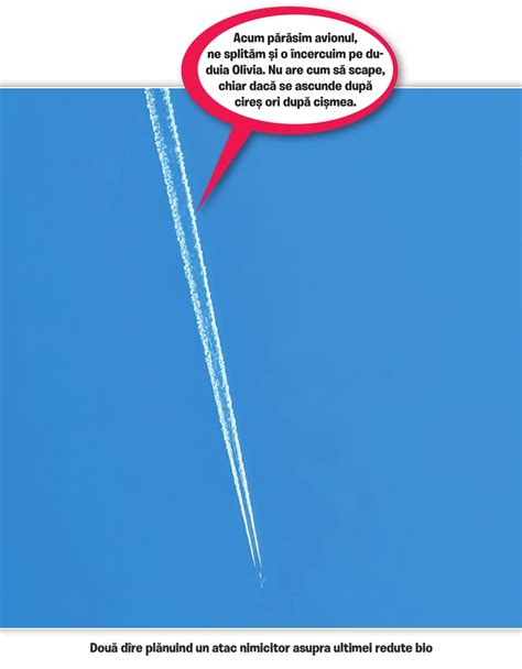 Jurnalul Dîrei De Pe Cer Caţavencii