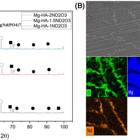 Disc Diffusion Test Images Showing Inhibition Zone Formation Through