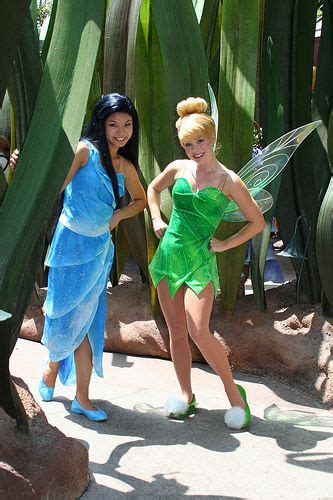 Tinkerbell And Silvermist Costume