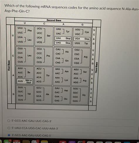 solved which of the following mrna sequences codes for the amino acid sequence n ala asn asp