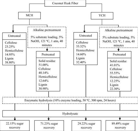Overall Schematic Diagram Of Methodology And Findings For Mch And Ych Download Scientific Diagram
