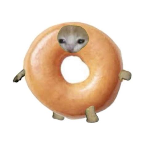 Donut Cat 🍩 Cat Holding Donut Bagel Cat Cat With Donut